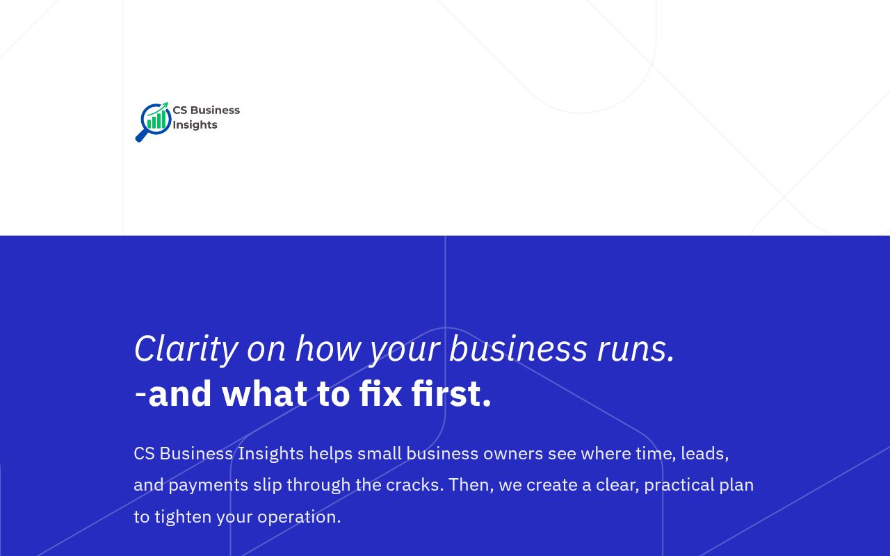 CS Business Insights